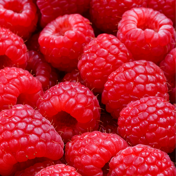 GOLDFADEN MD Plant Profusion Regenerative Night Cream (50ml) – Amelia Nour